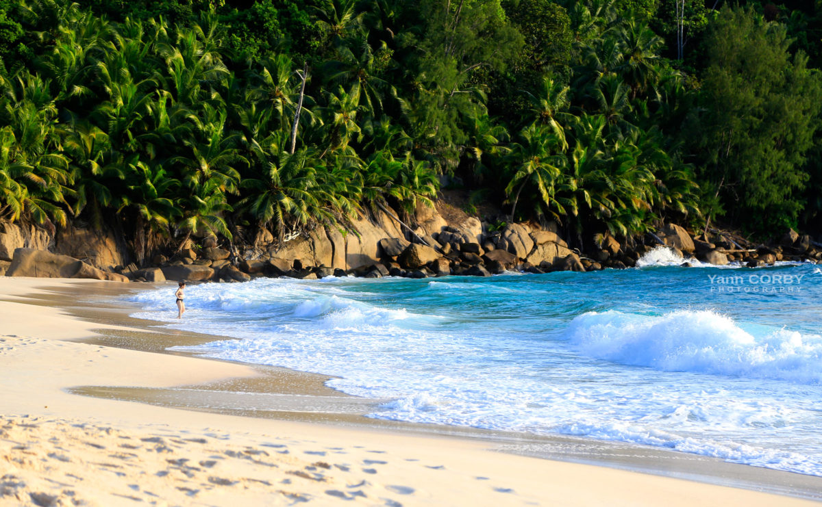 Anse intendance – | Yann Corby